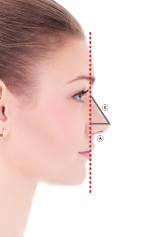 Nasal Analysis in Rhinoplasty New York City NYC Manhattan
